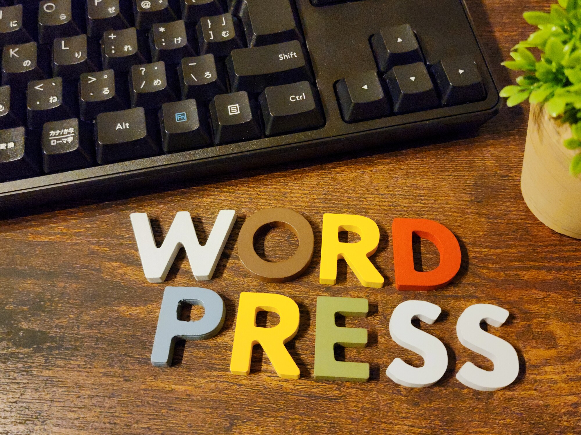 WordPressとノーコードツールの6つの違いを徹底解説！ | スパイラル株式会社